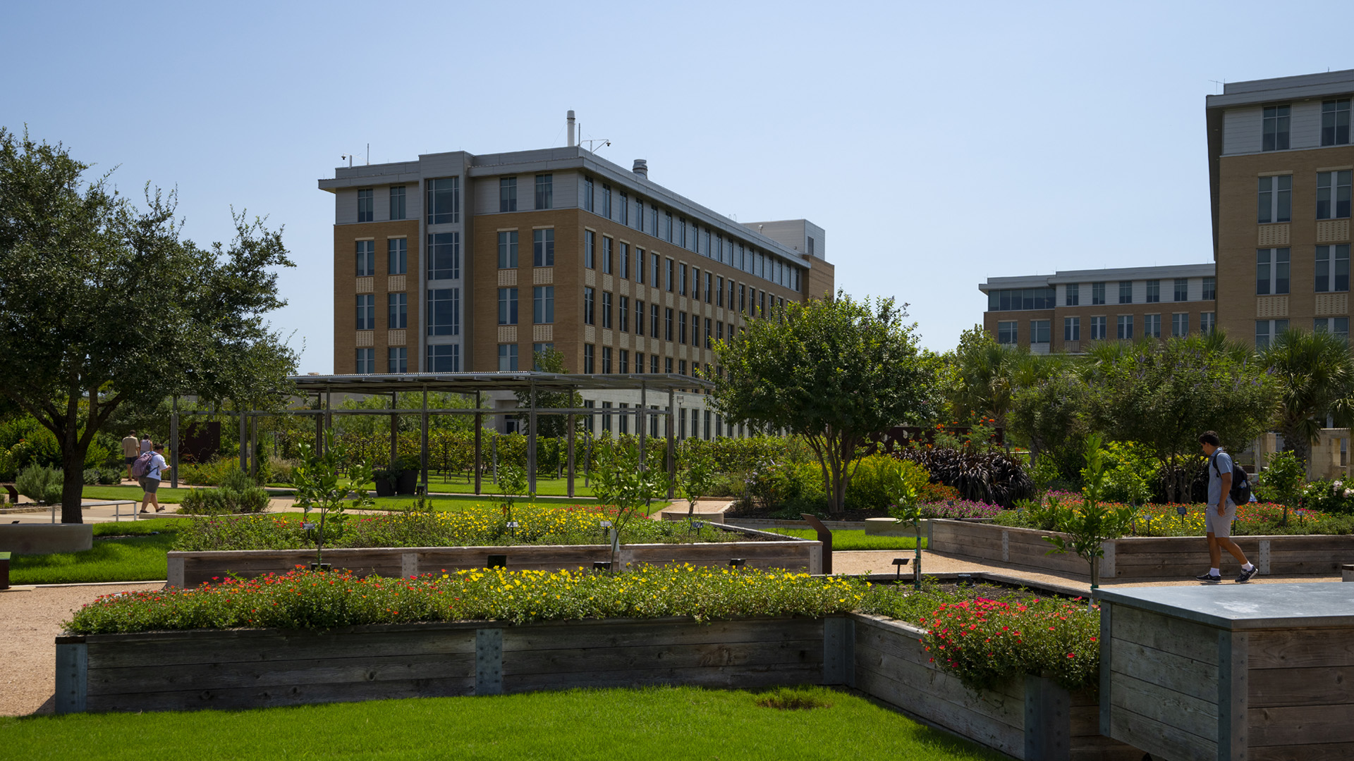 Activating SharePoint at Texas A&M AgriLife - netpresenter.com